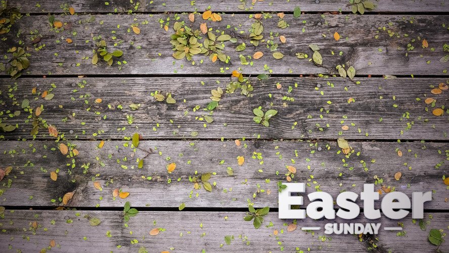 Easter Sunday Presentation Slides