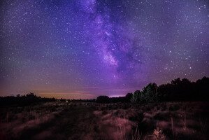 Starry Sky Over Field