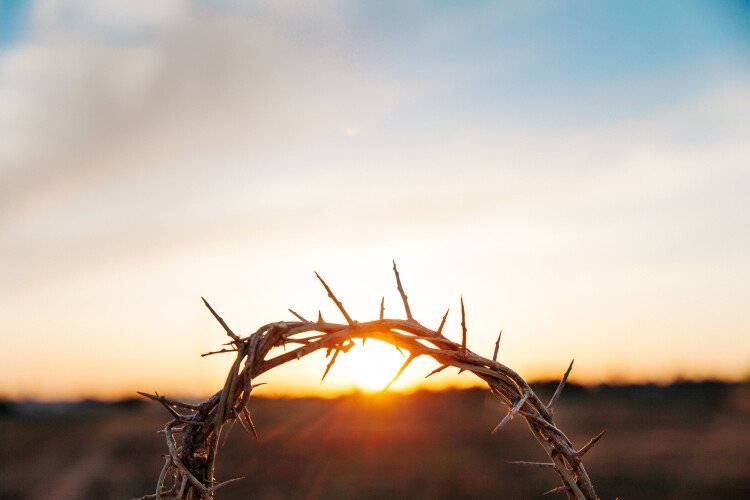Crown of Thorns Sunset