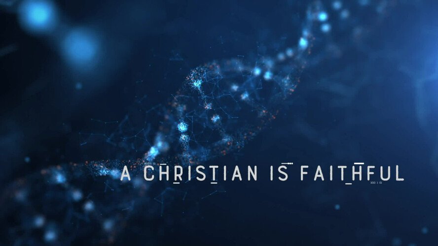 Video Assets: DNA Sermon Kit