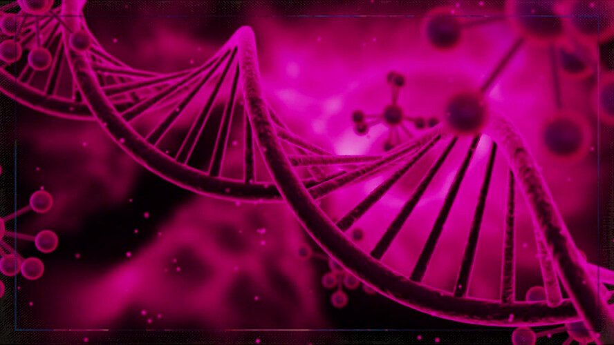 Video Assets: DNA Sermon Kit