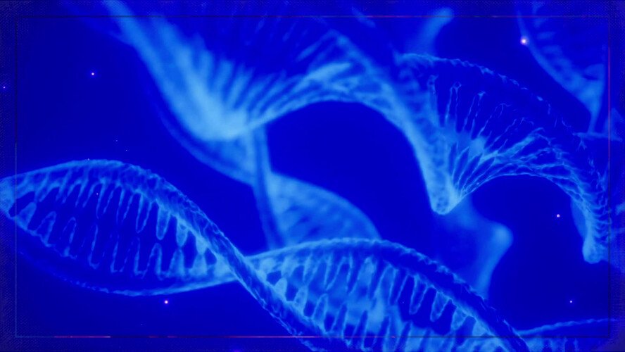 Video Assets: DNA Sermon Kit