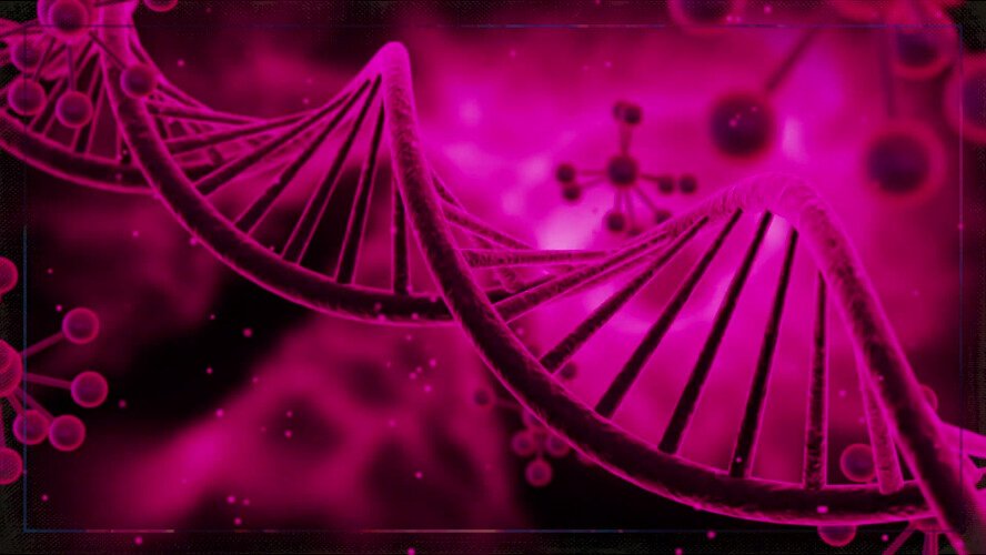 Video Assets: DNA Sermon Kit