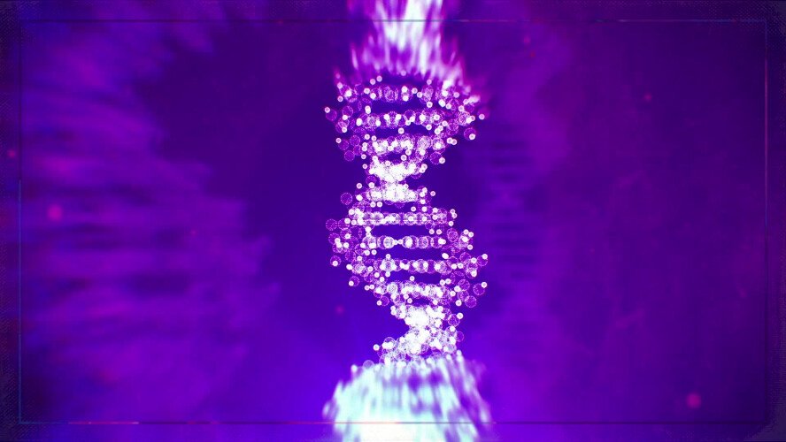 Video Assets: DNA Sermon Kit